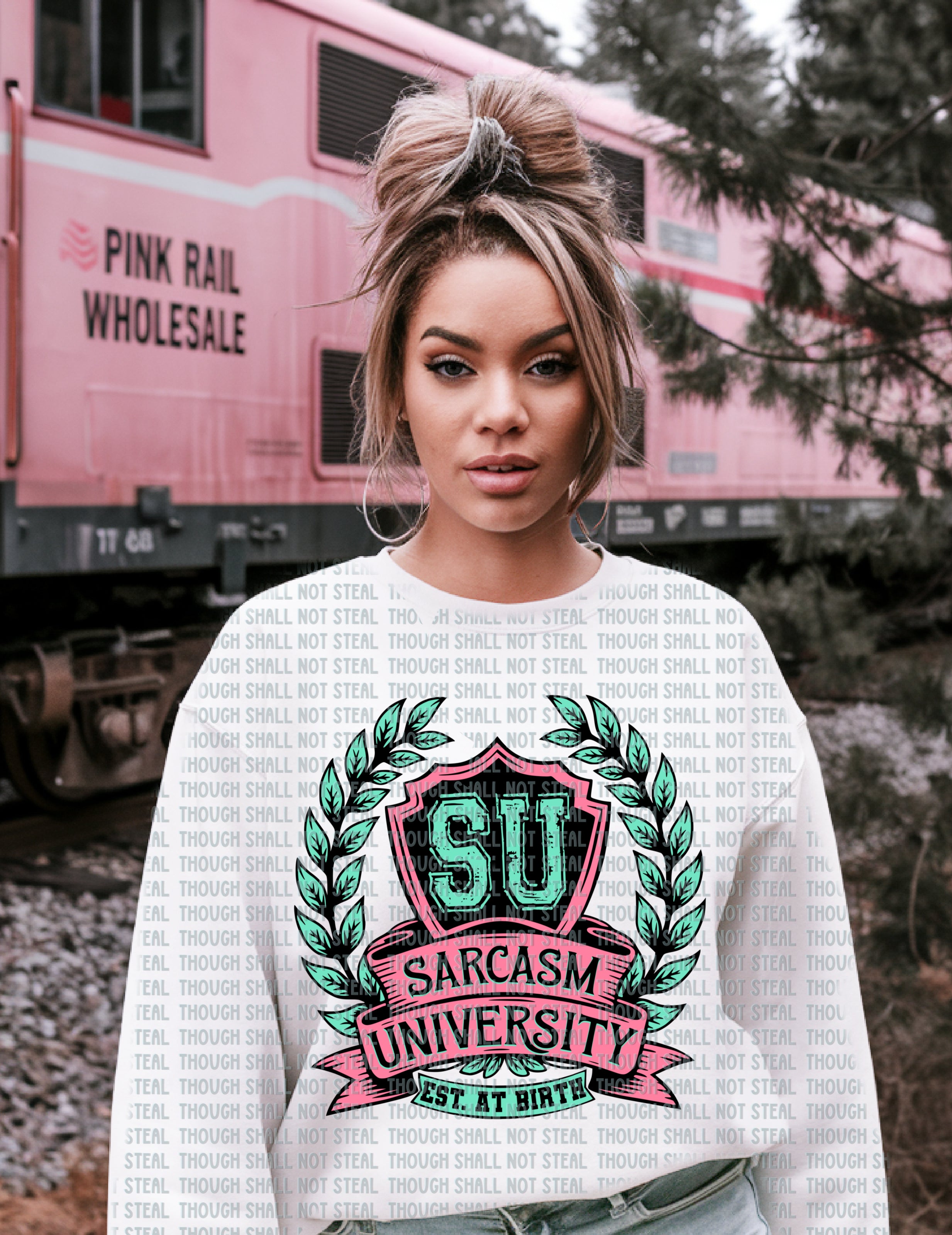 L-190 B Colored Sarcasm University DTF TRANSFER ONLY – Pink Rail Creations